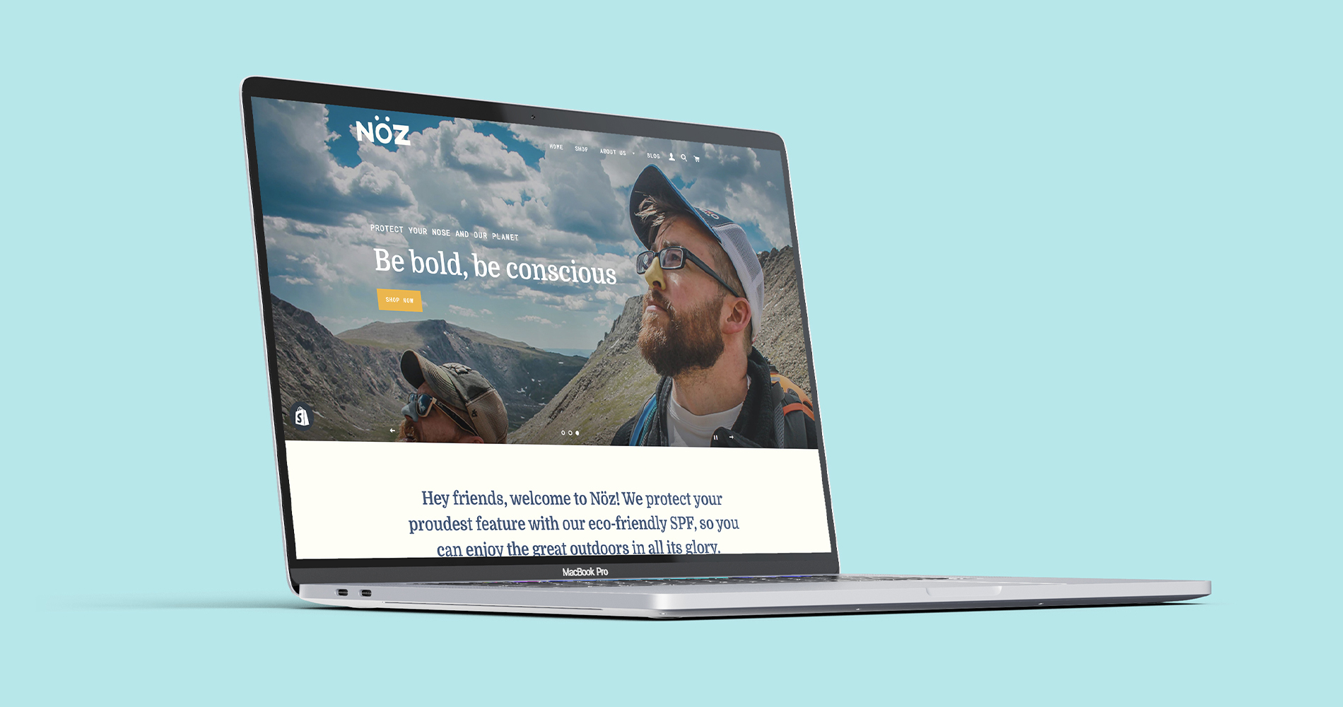 Nöz Web Design – Rachel Lynn